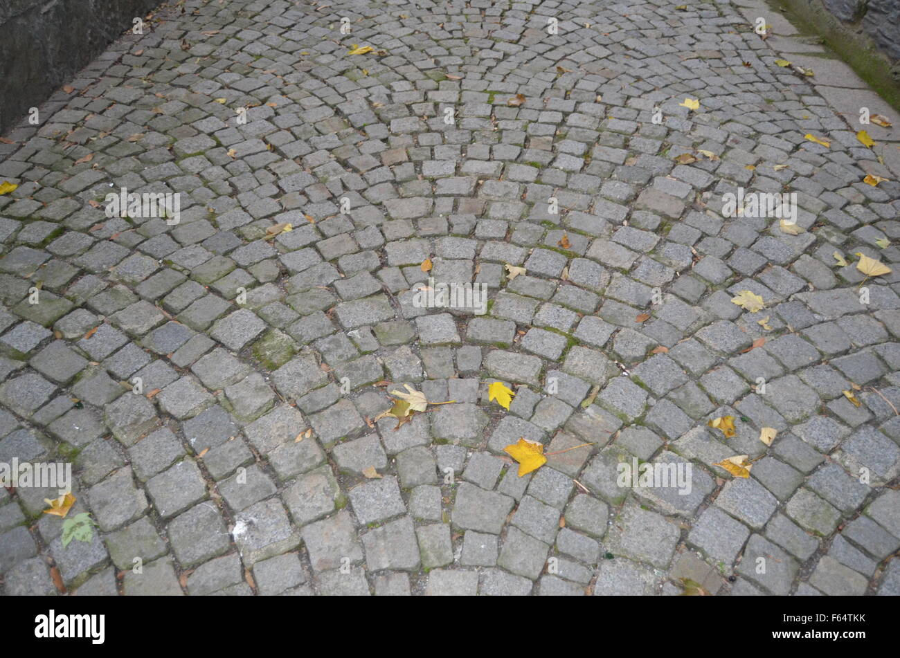 Tessellation mosaic hi-res stock photography and images - Alamy