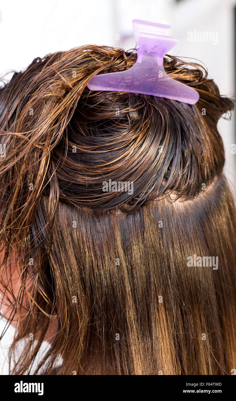 Clean wet washed long brown hair of a woman client Stock Photo - Alamy