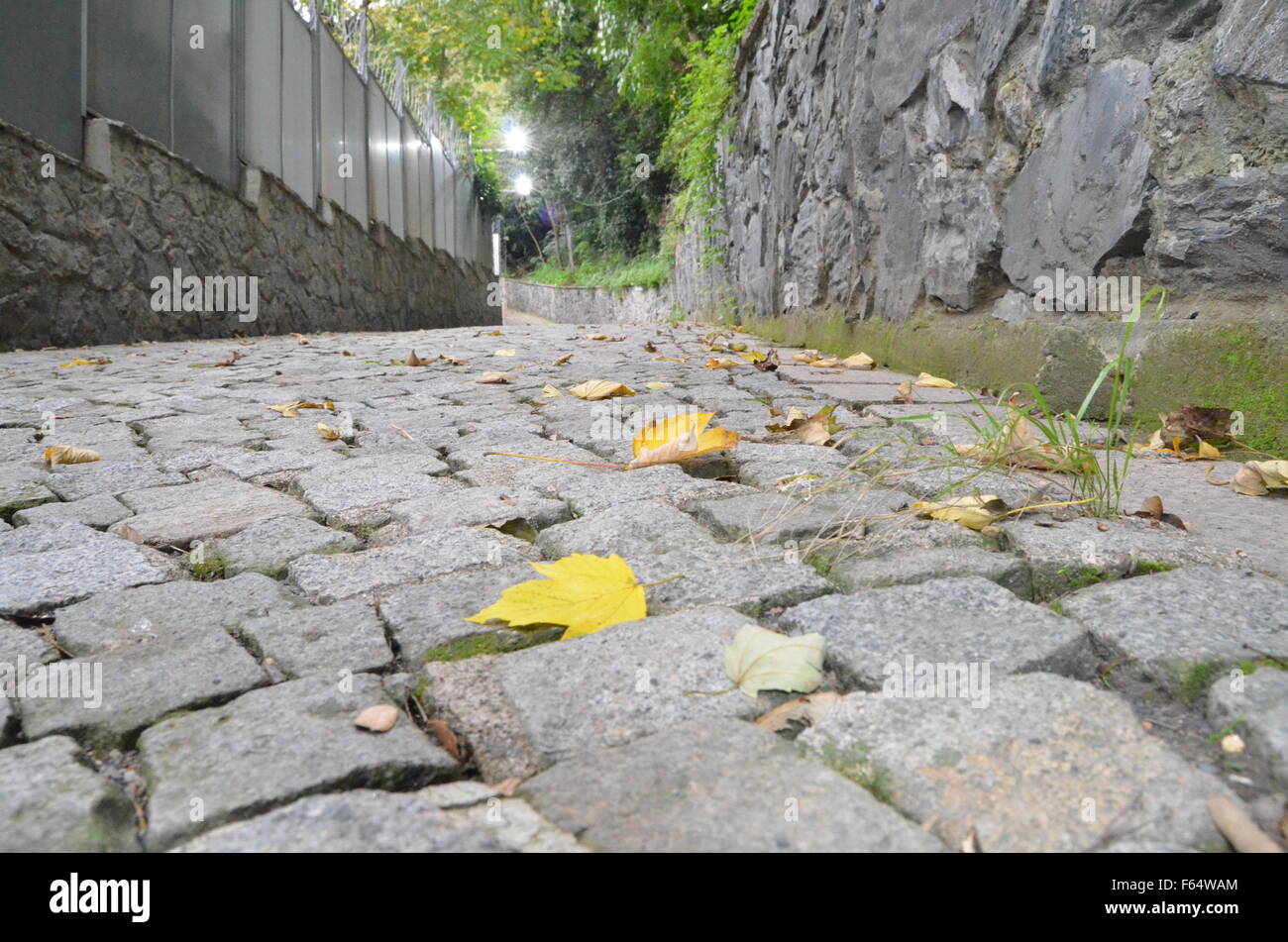 rough cobblestone pavement path in autumn Stock Photo - Alamy