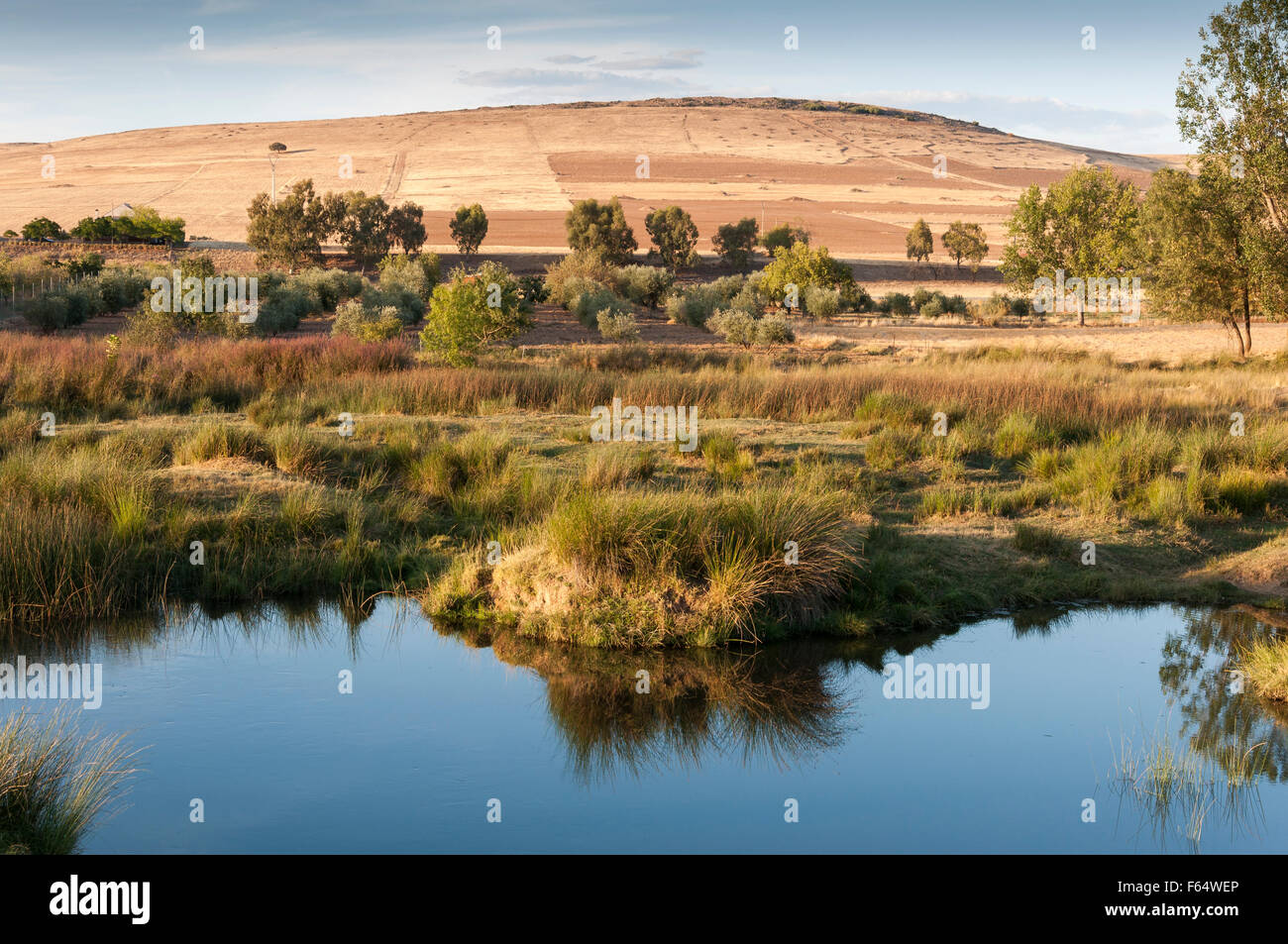 The Bullaque River at its pass through Porzuna, La Mancha, Ciudad Real ...