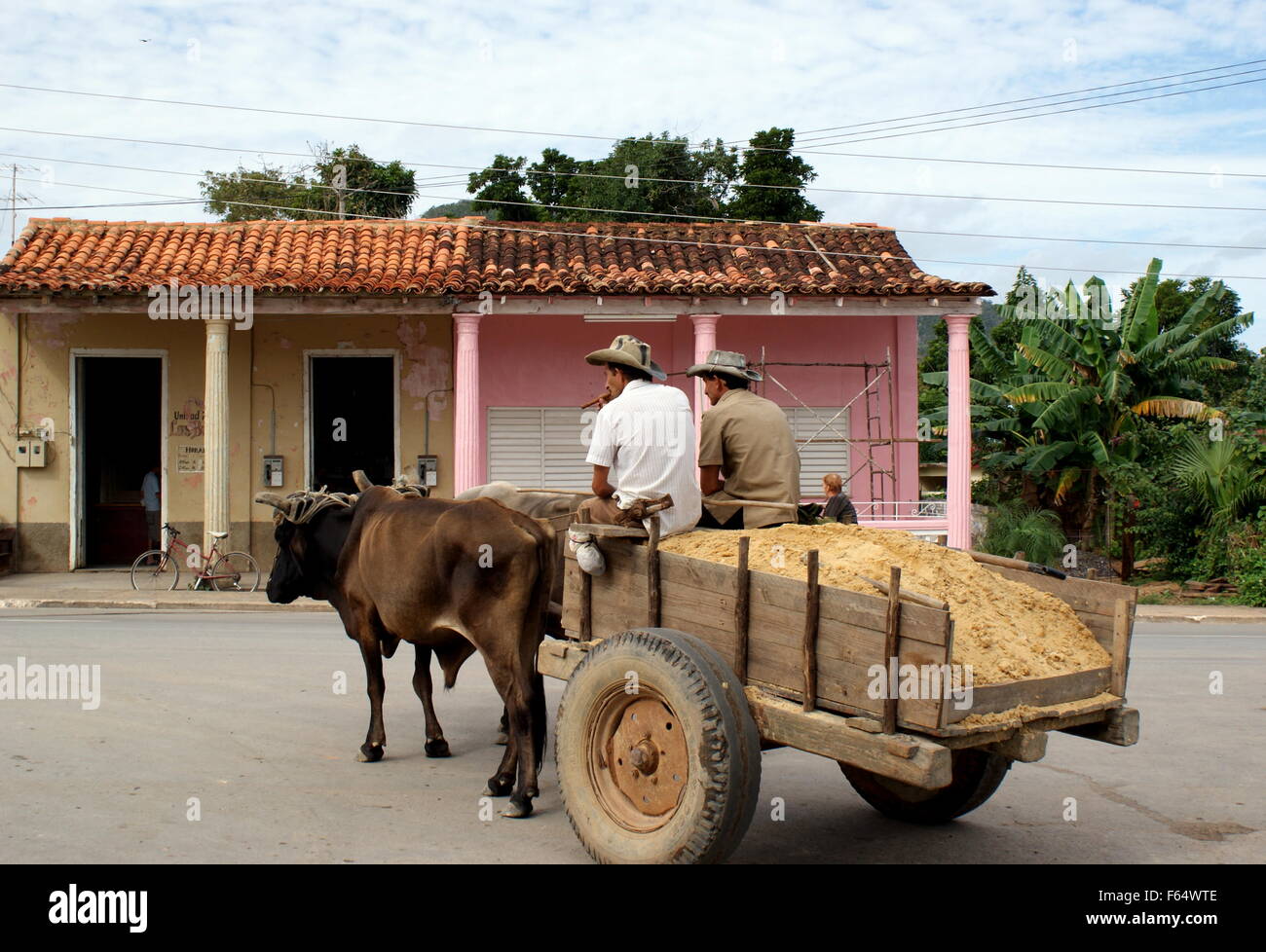 Oxen pulling cart hi-res stock photography and images - Alamy