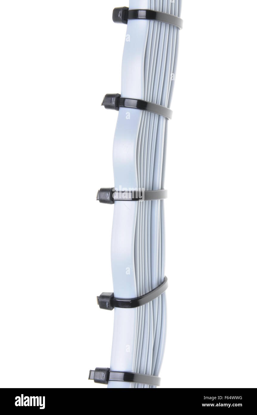 Computer network cables with cable ties isolated on white background ...