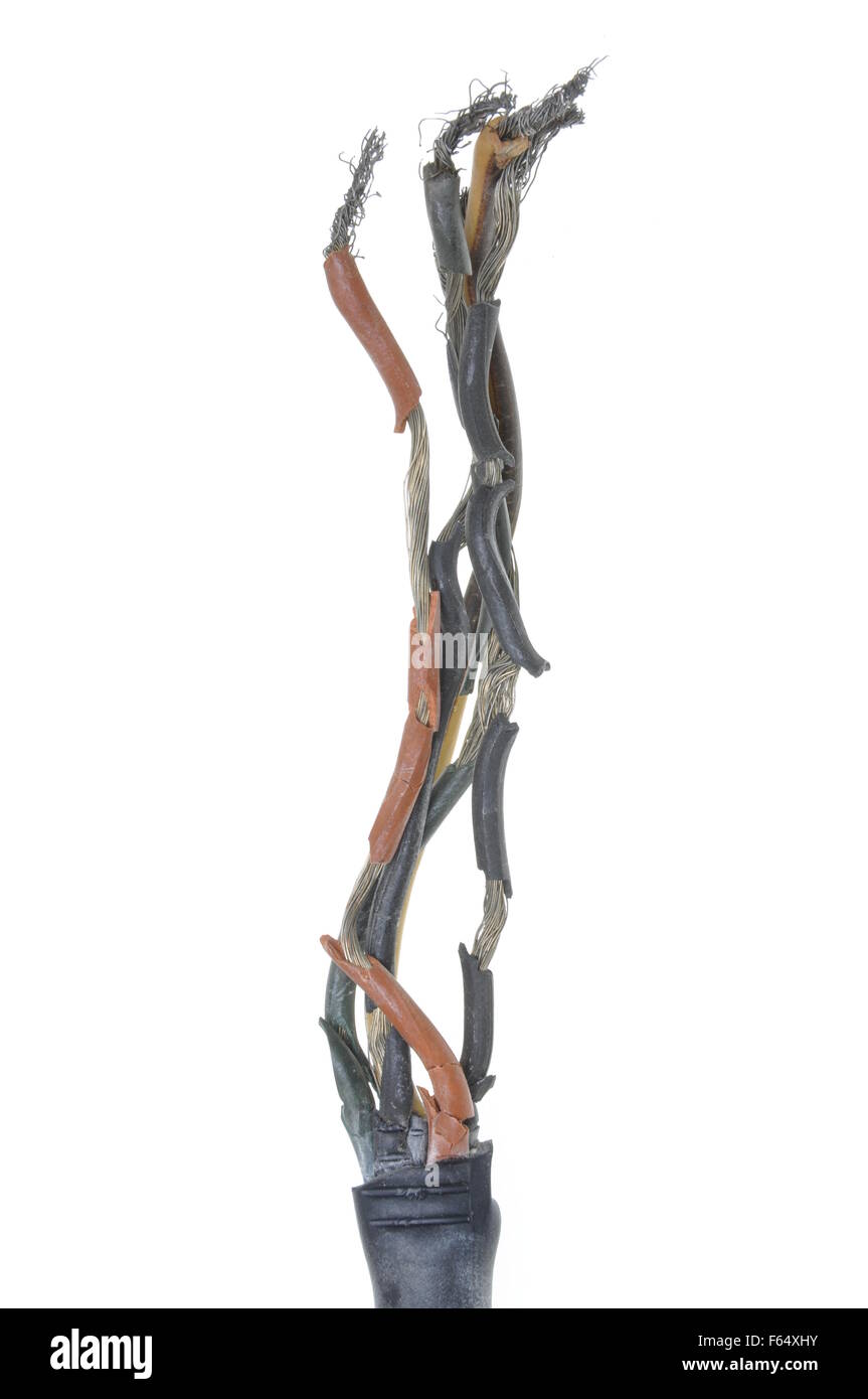 Burnt electrical cable isolated on white background Stock Photo - Alamy