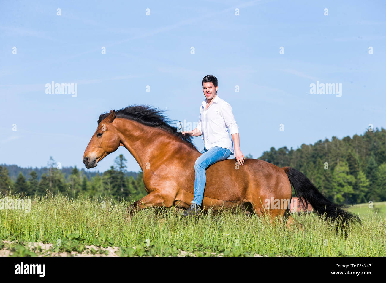 Man riding horse without saddle hi-res stock photography and images - Alamy