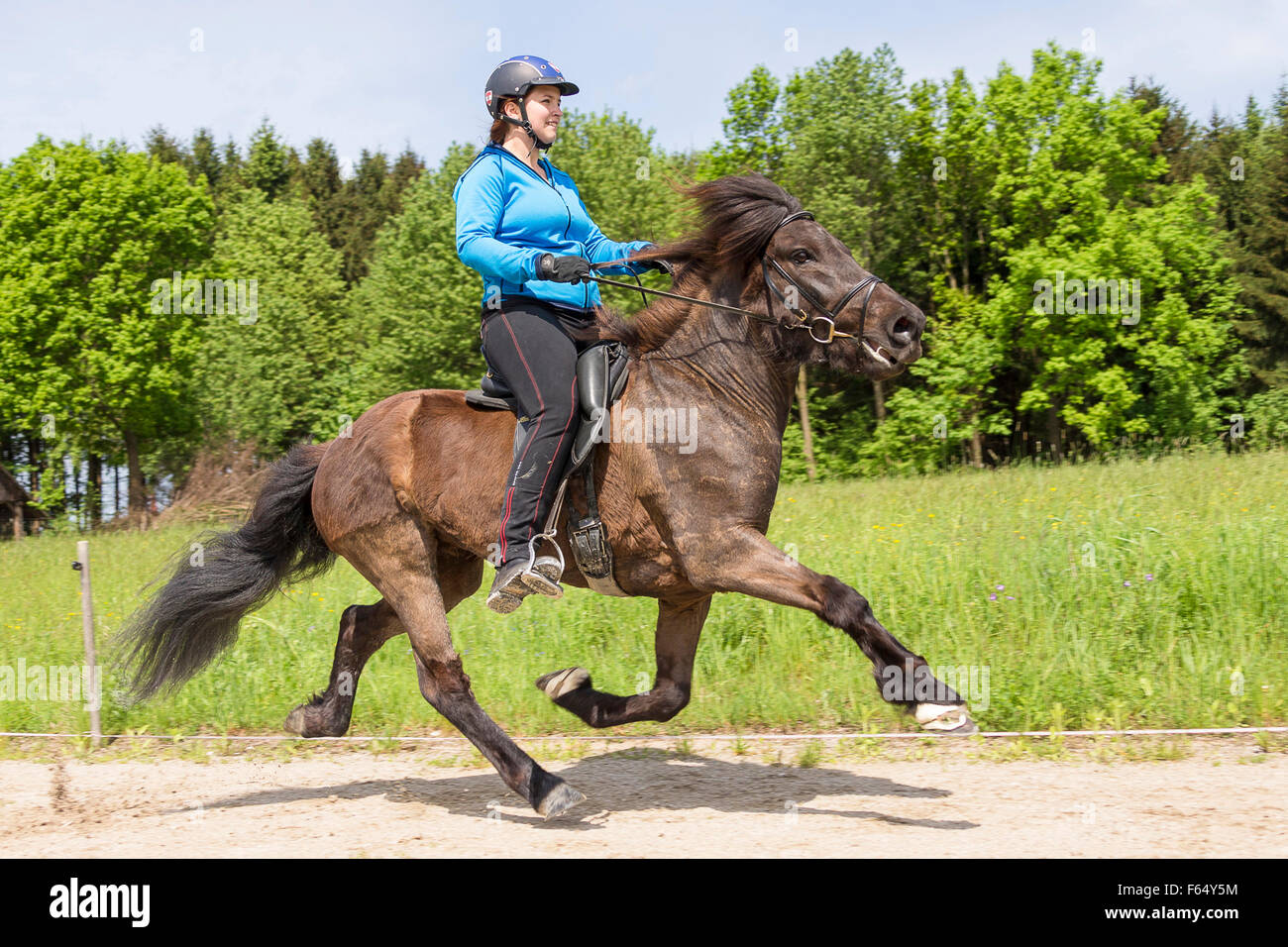 Flying horse hi-res stock photography and images - Alamy