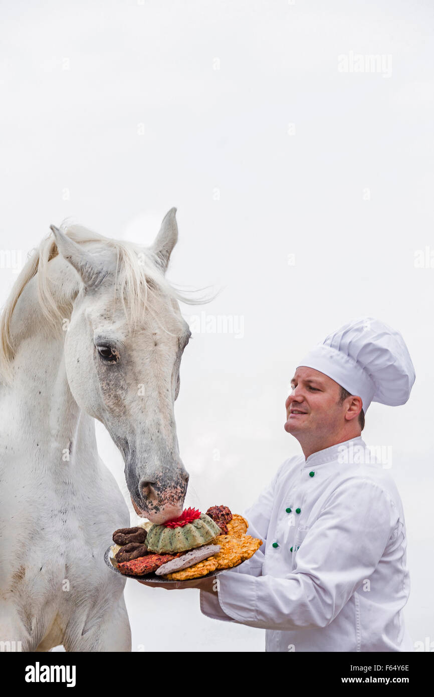 Man eating tiger hi-res stock photography and images - Alamy