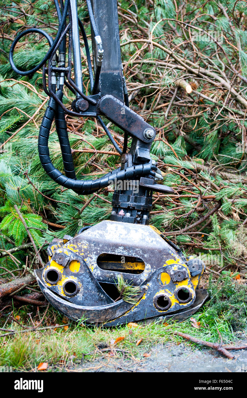 Forestry forwarder machine hi-res stock photography and images - Alamy