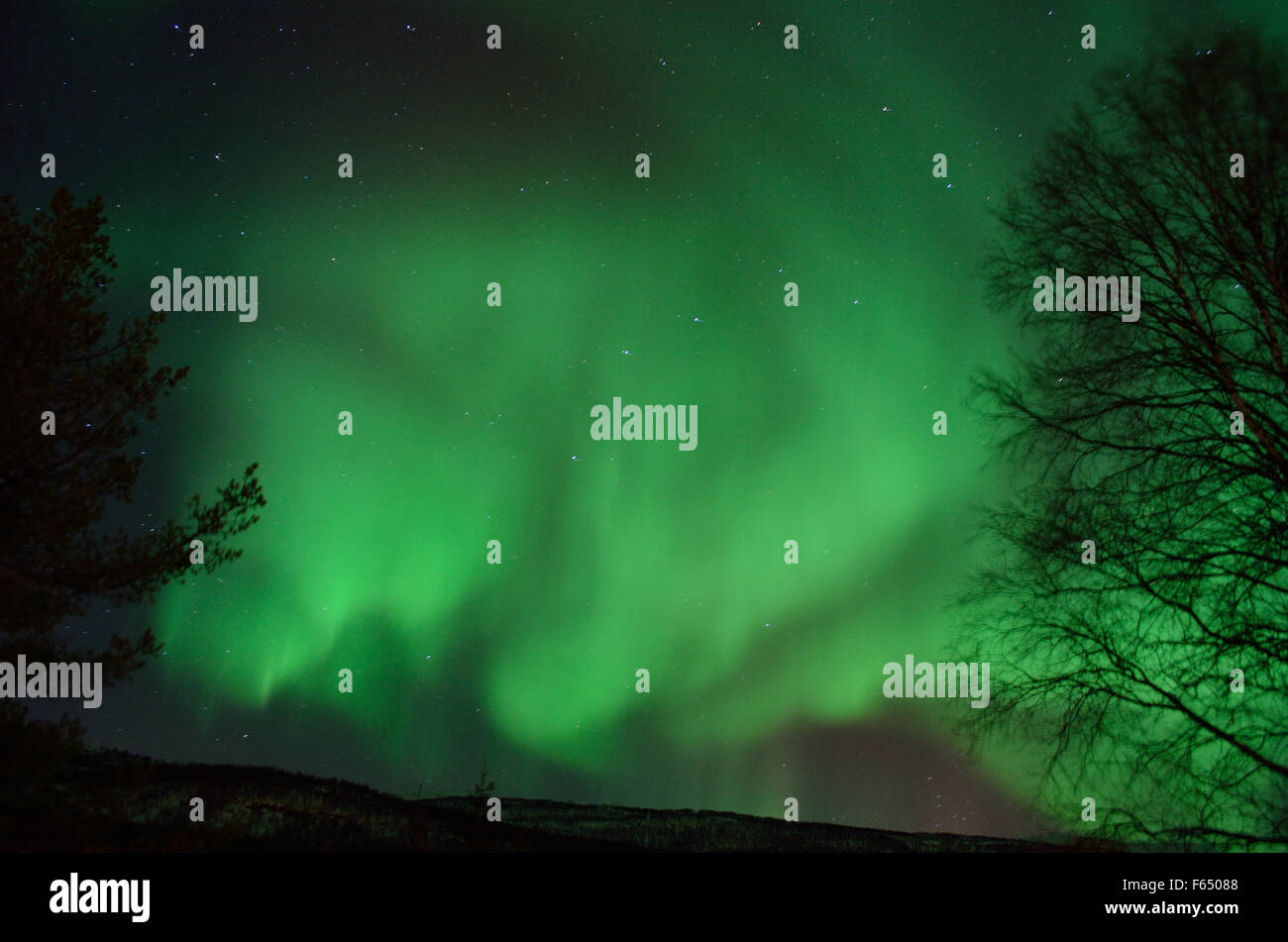 fantastic aurora borealis, northern light on cold arctic winter sky ...