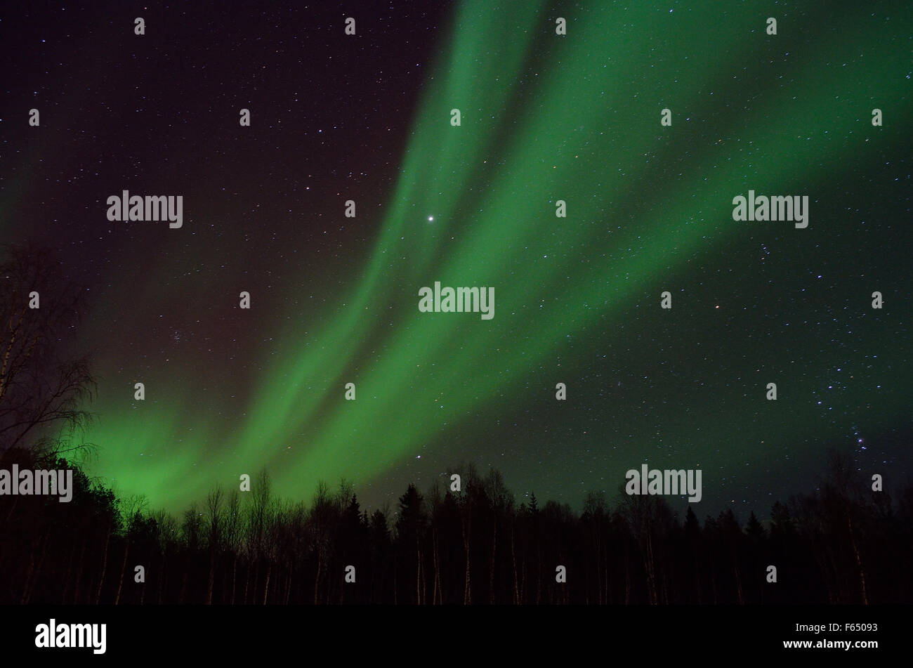 fantastic aurora borealis, northern light on cold arctic winter sky ...