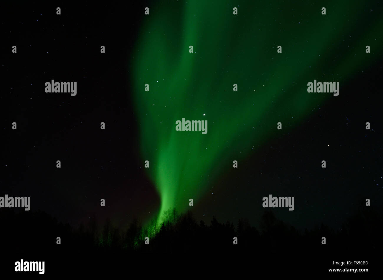 fantastic aurora borealis, northern light on cold arctic winter sky ...
