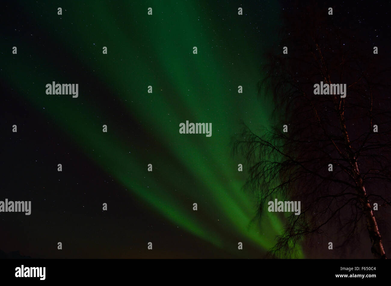 fantastic aurora borealis, northern light on cold arctic winter sky ...