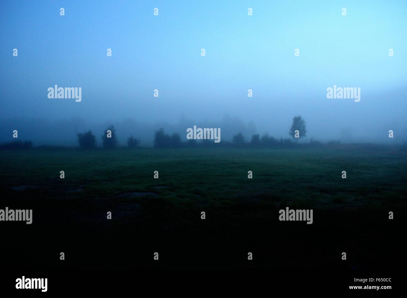 heavy midnight fog over forest, tree and field in late summer Stock ...