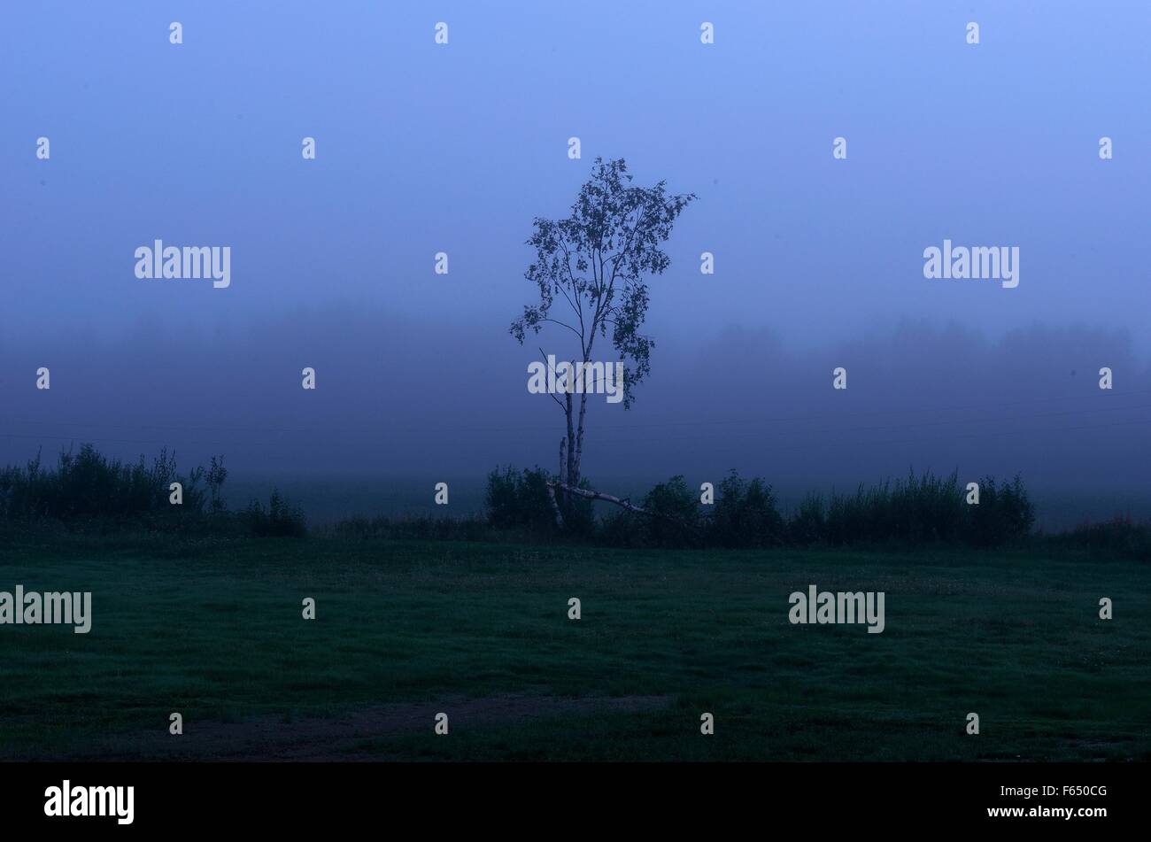 Midnight fog hi-res stock photography and images - Alamy
