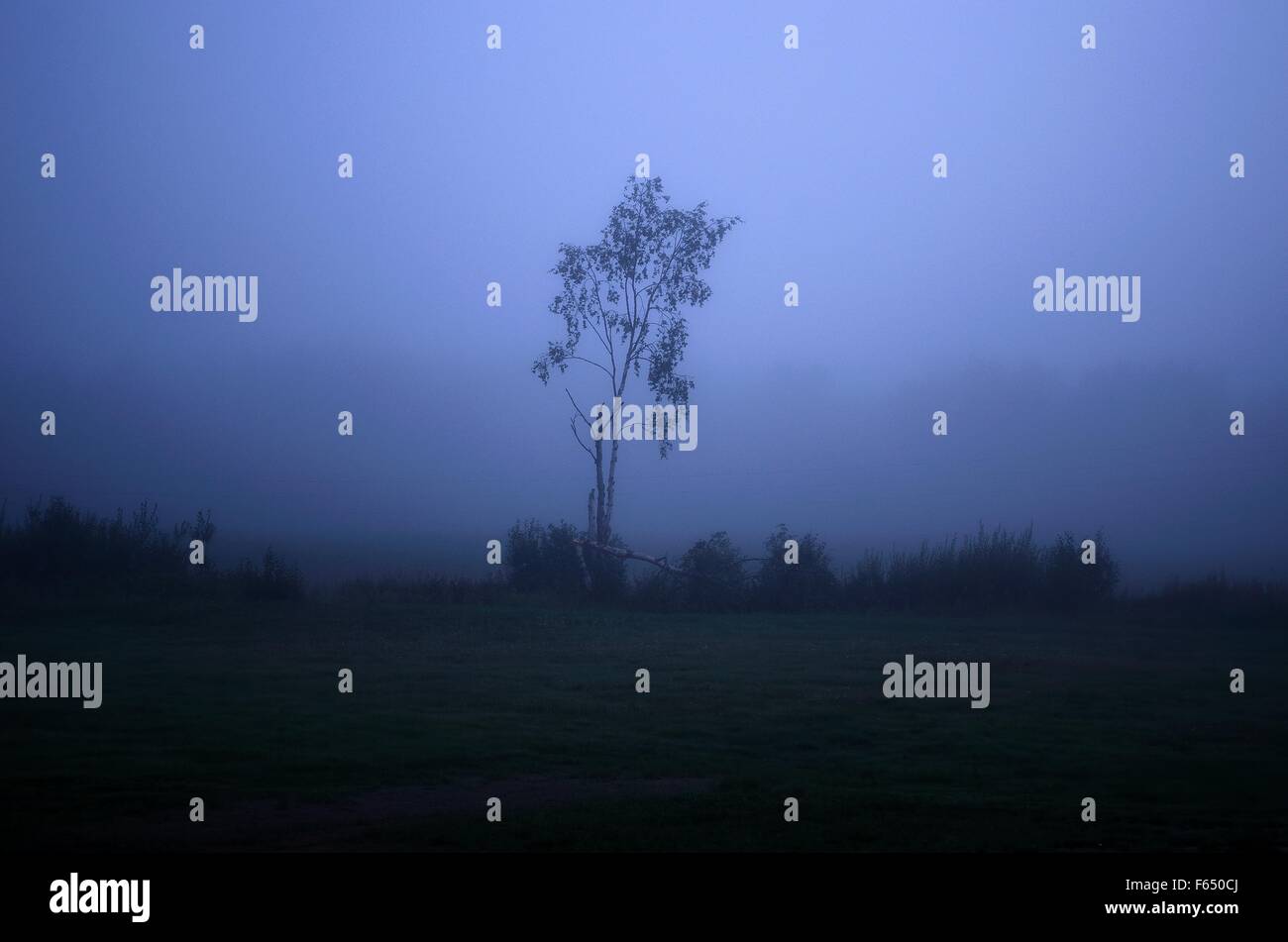 Midnight fog hi-res stock photography and images - Alamy