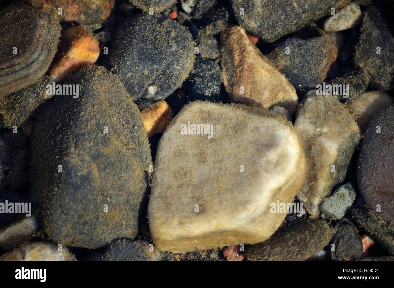 river rocks under water detail Stock Photo - Alamy