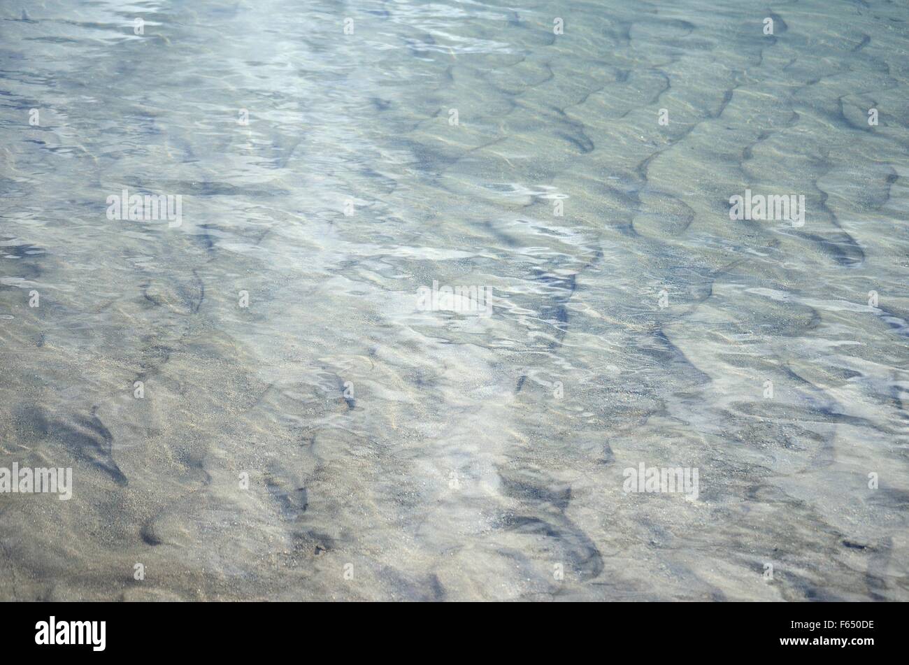serene sandy river bottom background in summer Stock Photo - Alamy