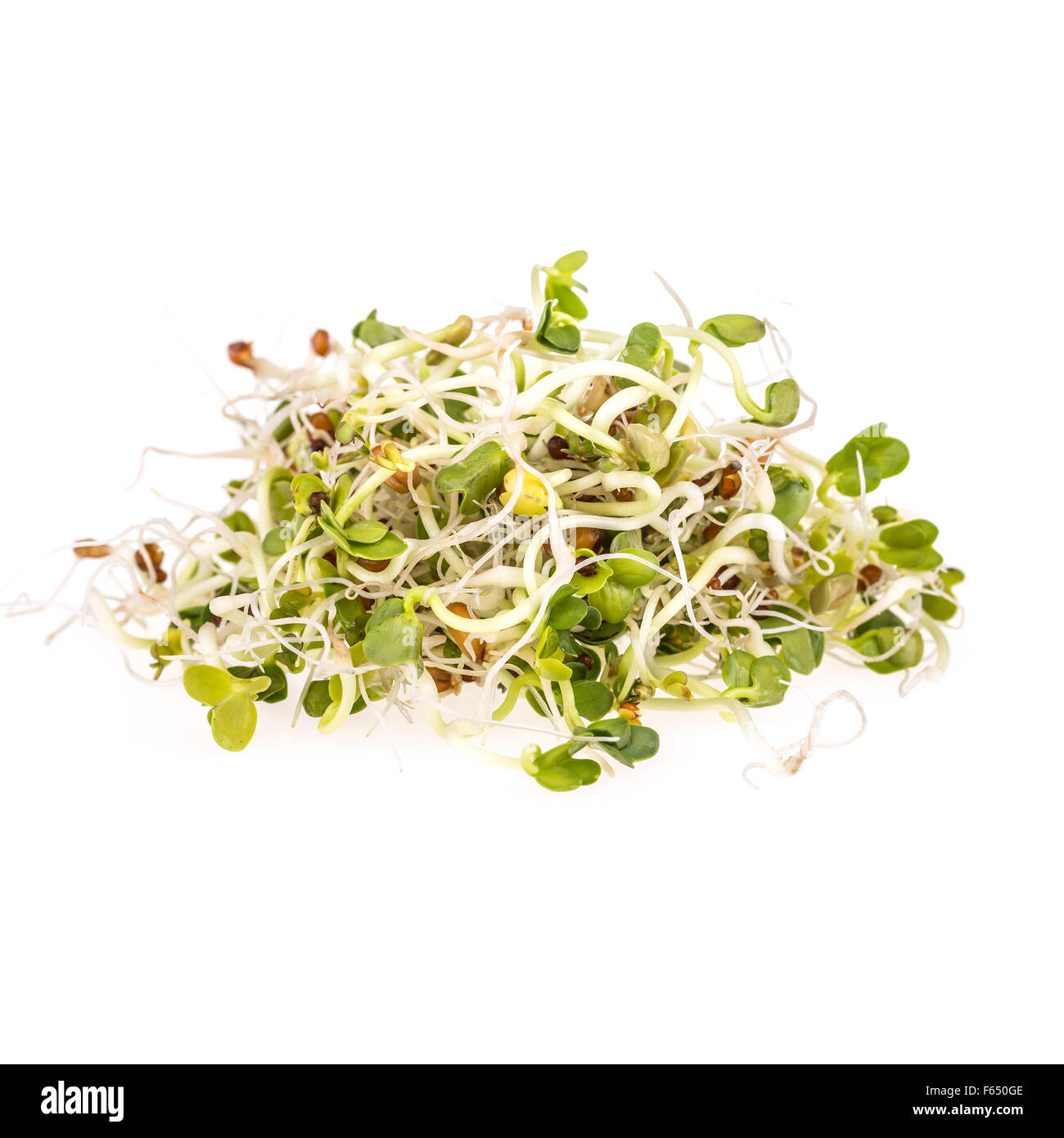 Fresh sprouts isolated on white background Stock Photo - Alamy