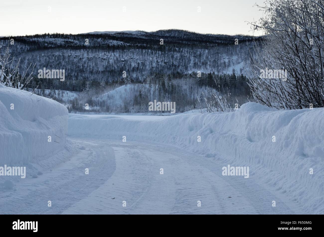deep snow on forest road in winter Stock Photo - Alamy