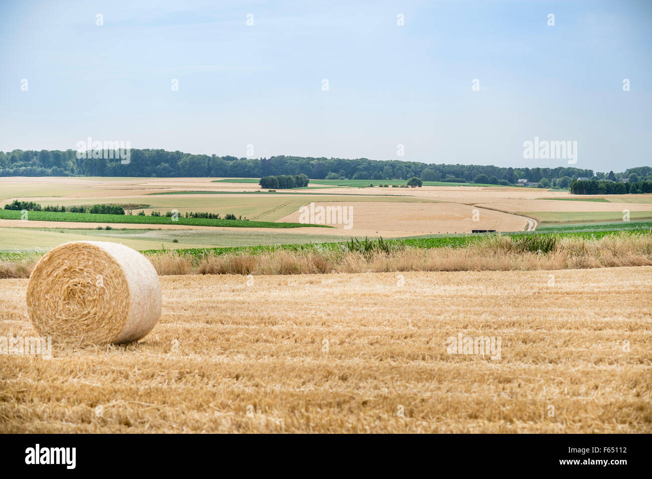 New gold fields hi-res stock photography and images - Alamy