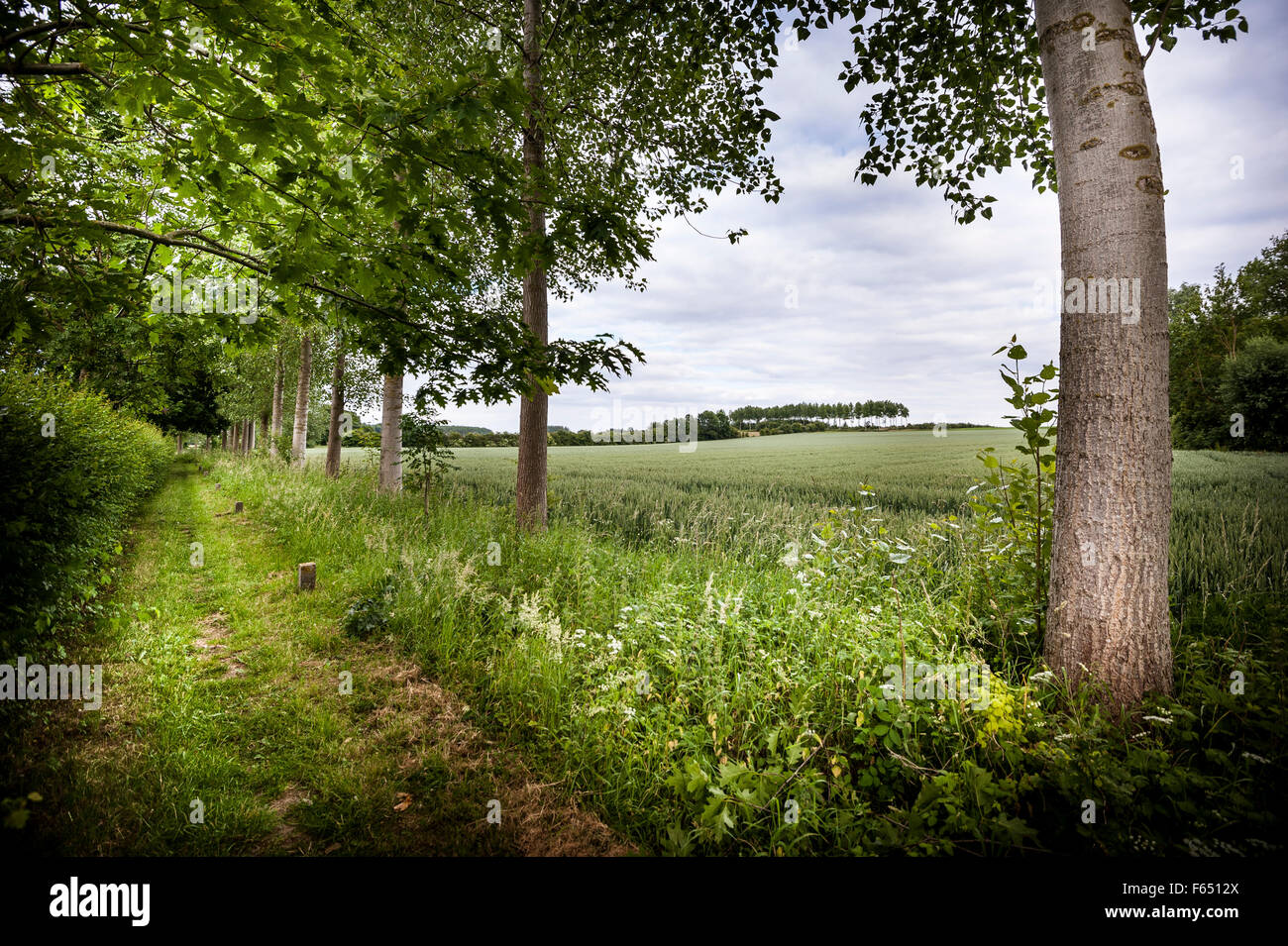 Route pathway hi-res stock photography and images - Alamy