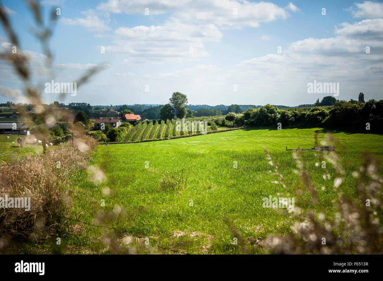 Rural rural cloud hi-res stock photography and images - Alamy