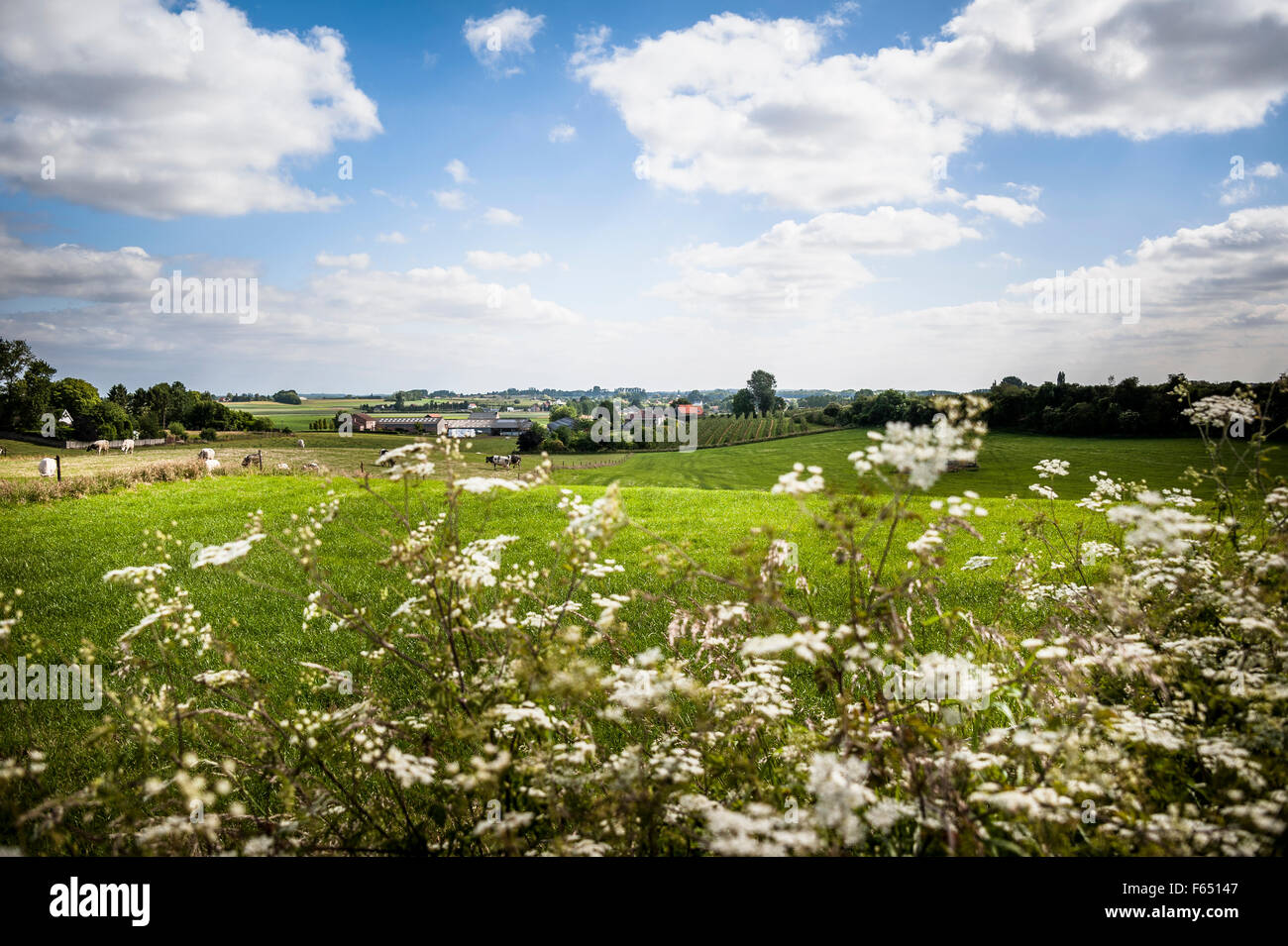 Rural ecology hi-res stock photography and images - Alamy
