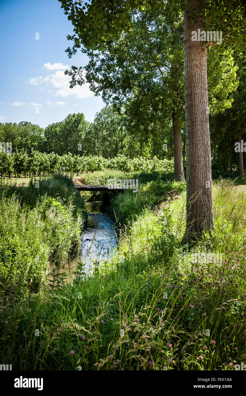 bridge over stream Stock Photo - Alamy