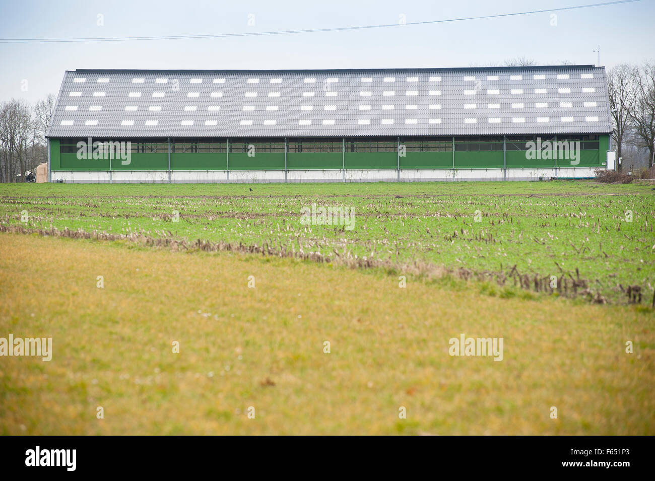 Barn in rural Belgium Stock Photo - Alamy