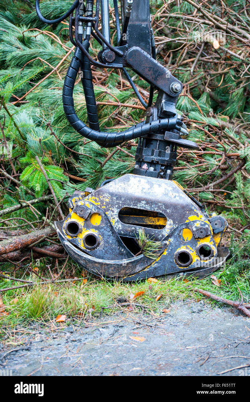 Timber machine hi-res stock photography and images - Alamy