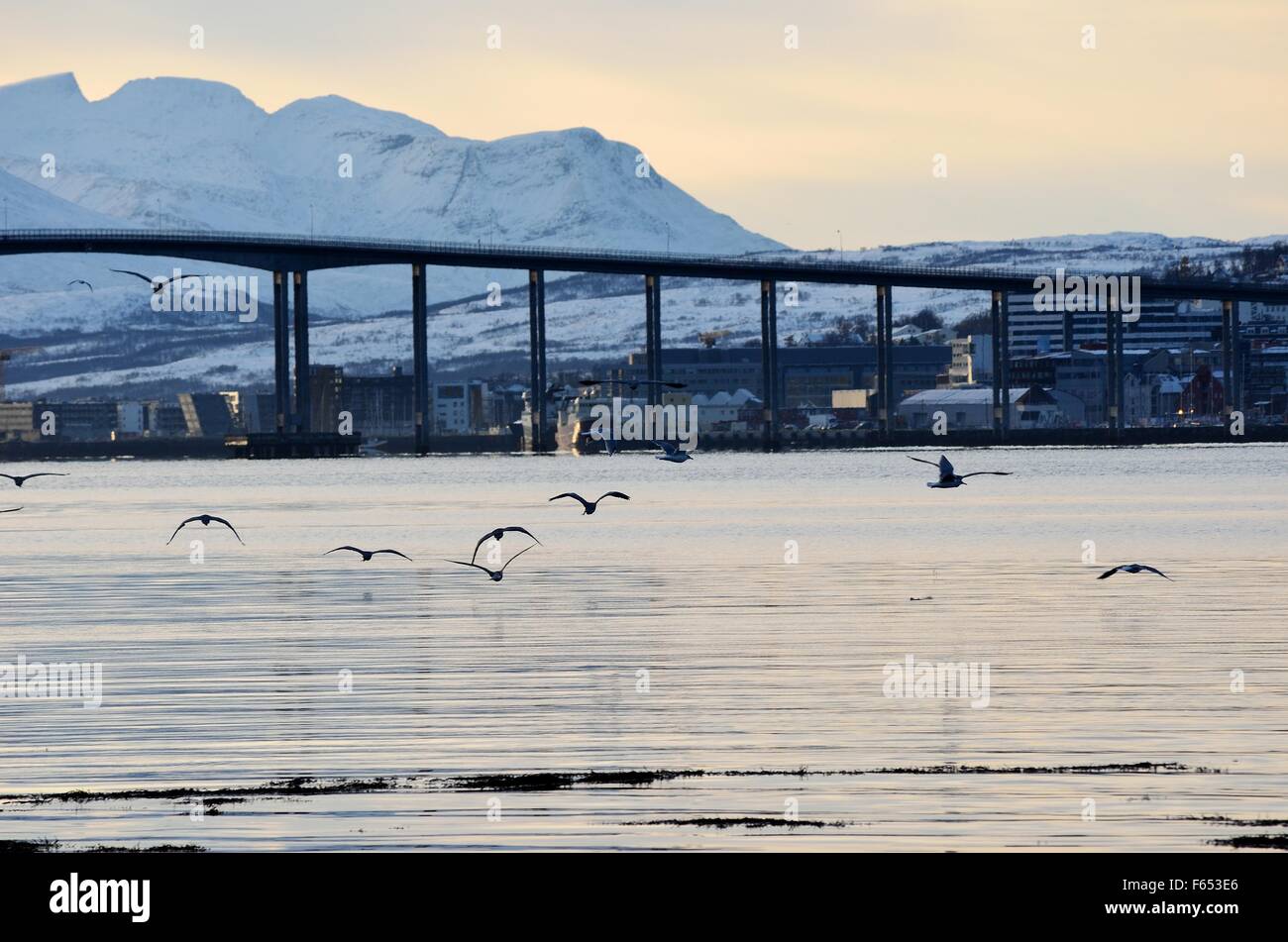 tromsoe city island bridge with the island and snowy mountain in the ...