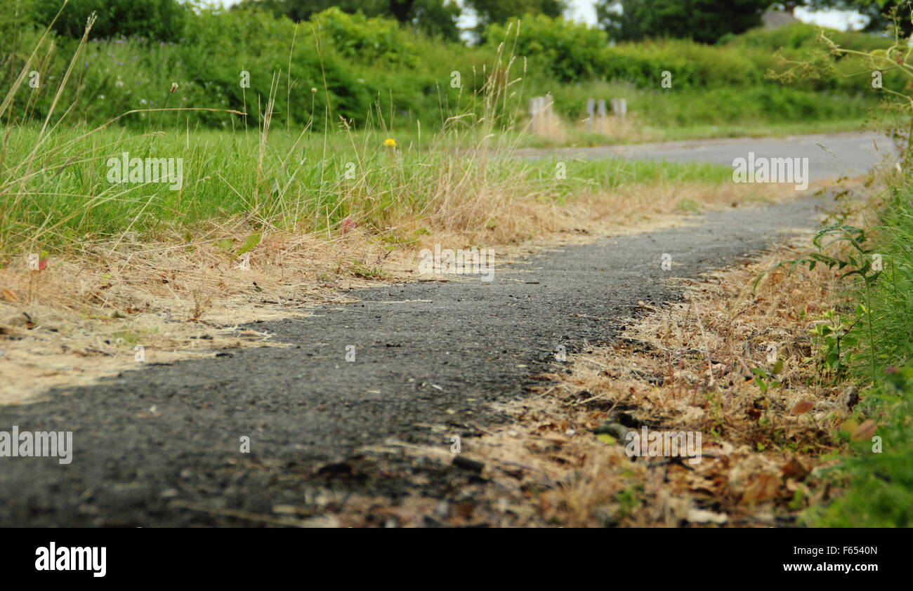 Dead vegetation on a roadside pavement indicative of herbicide/weed ...