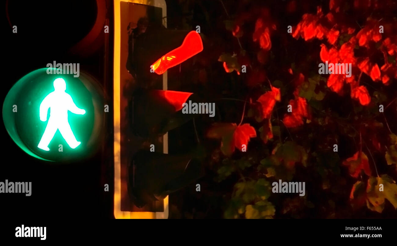 traffic light signals at night Stock Photo - Alamy