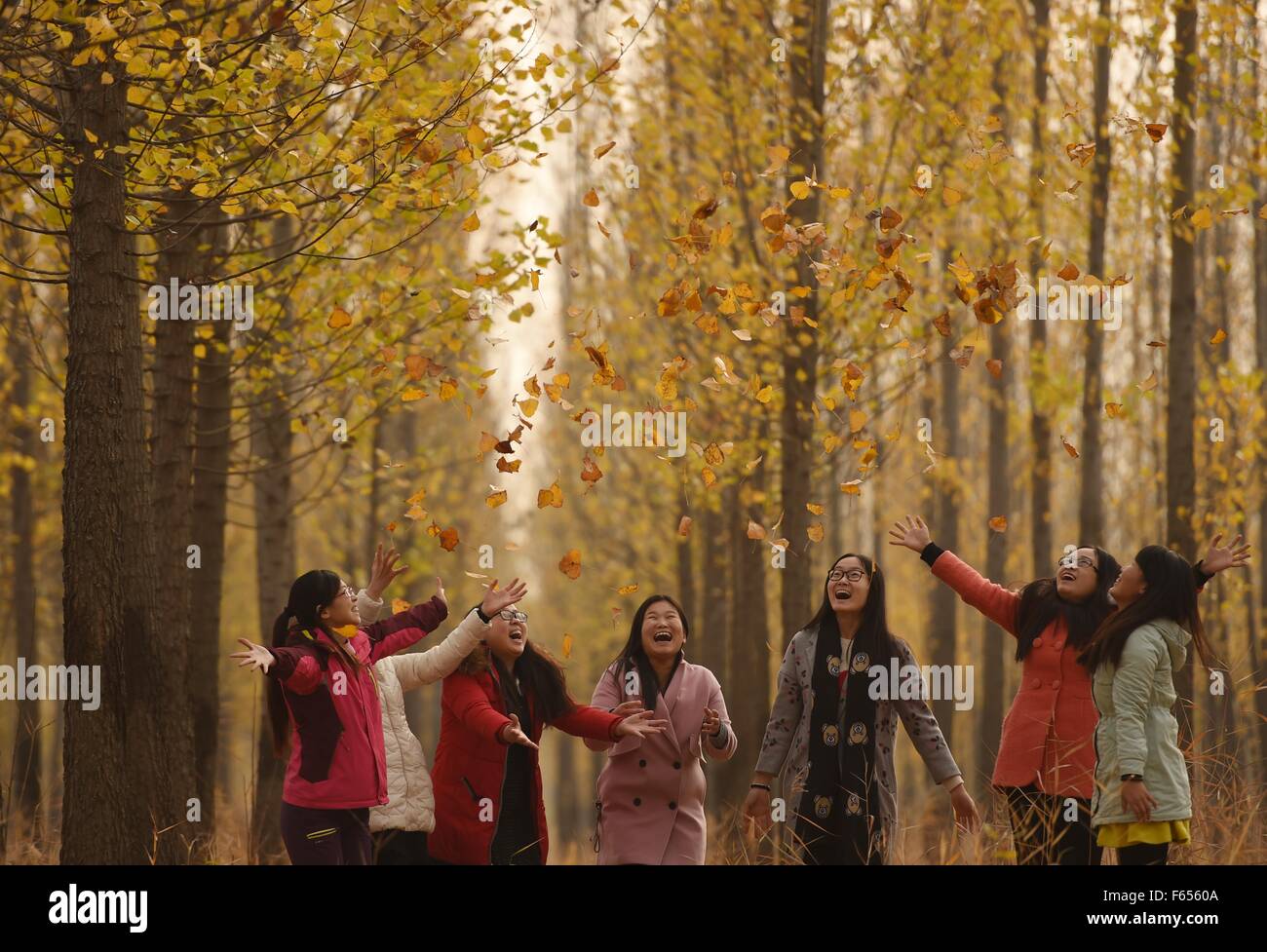 Dongguang, China's Hebei Province. 12th Nov, 2015. Women play in woods ...