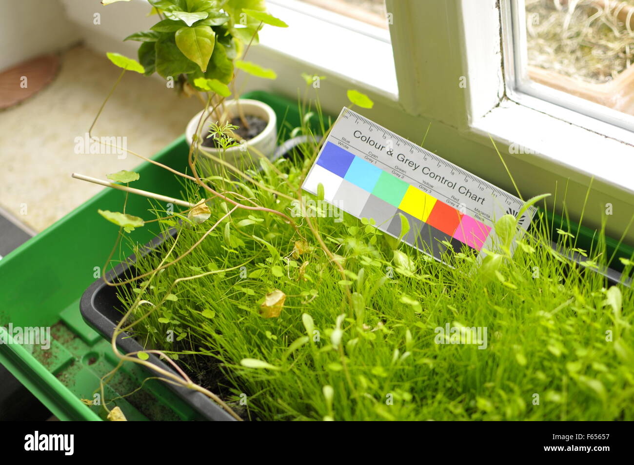 photographic color chart Stock Photo - Alamy