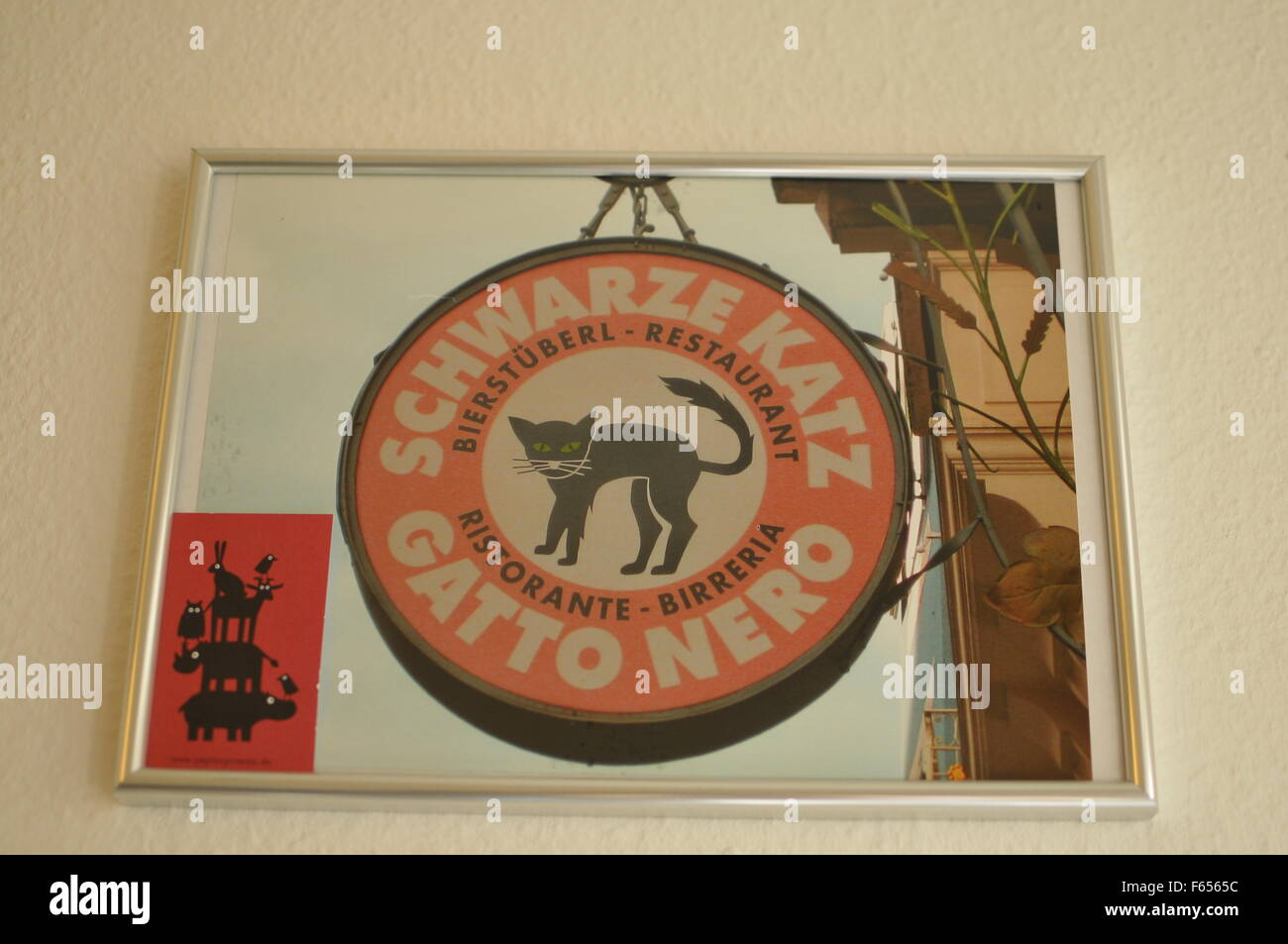 Gatto hi-res stock photography and images - Alamy