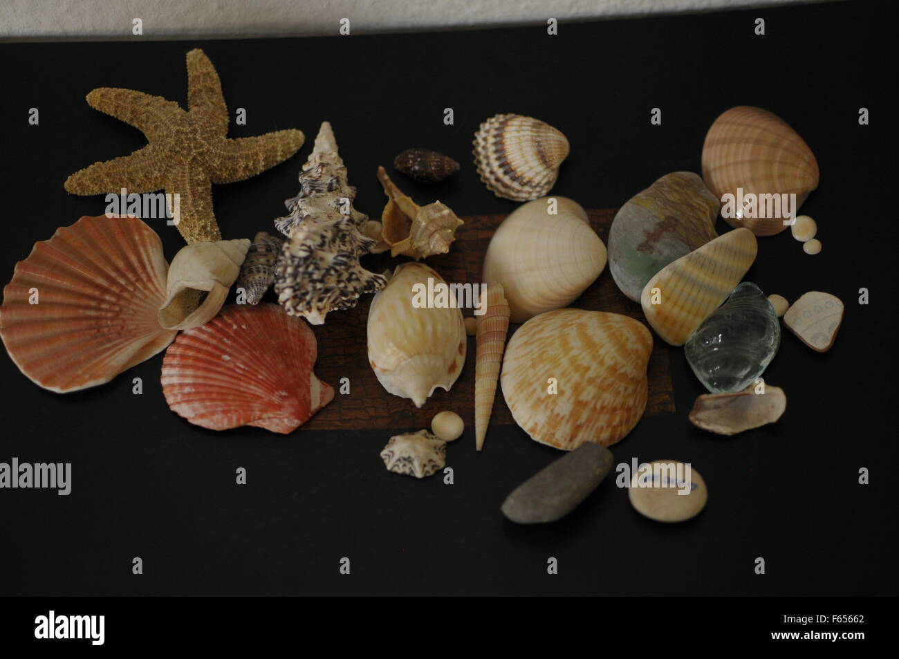 starfish and seashells Stock Photo - Alamy