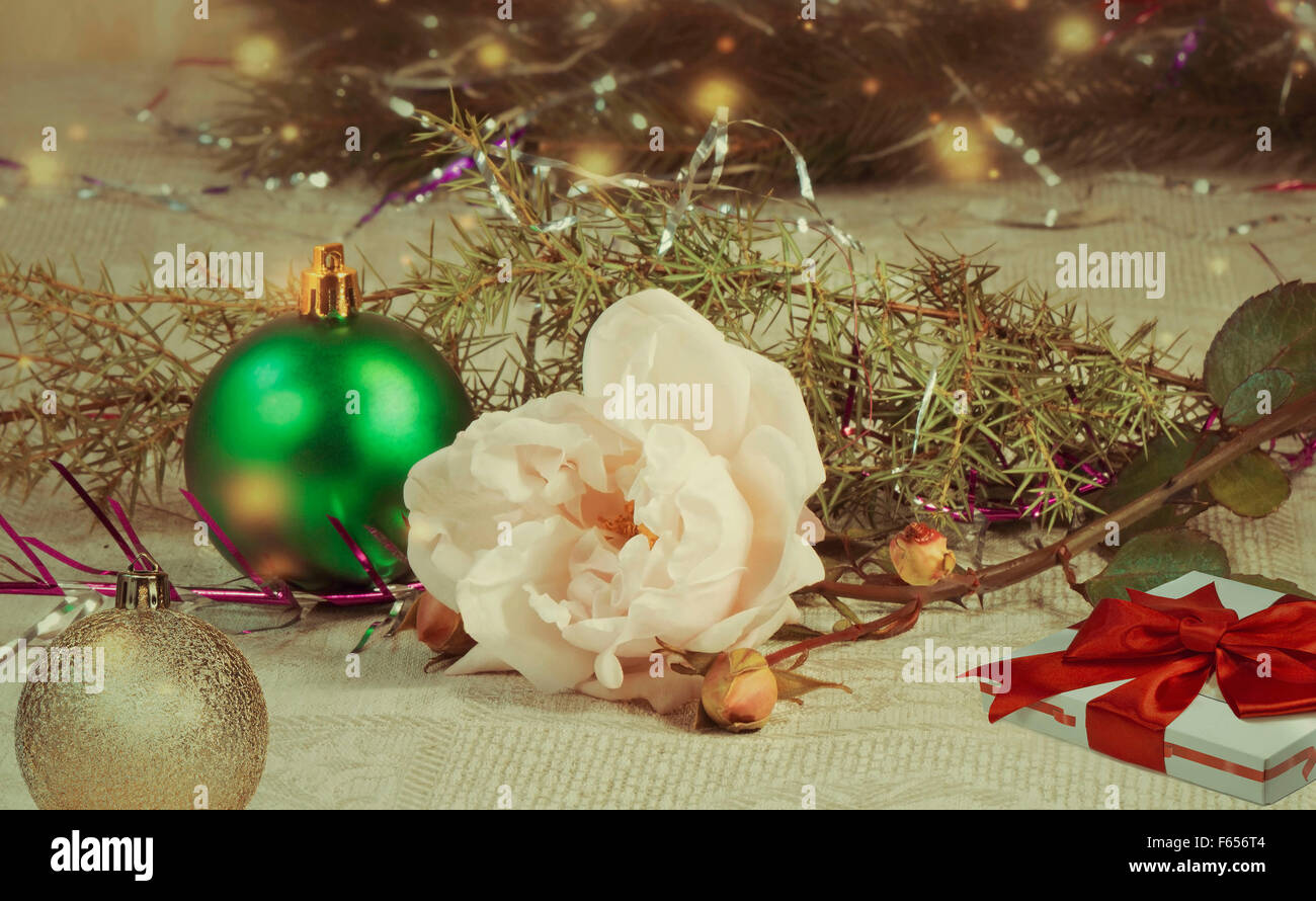 Shiny roses hi-res stock photography and images - Alamy
