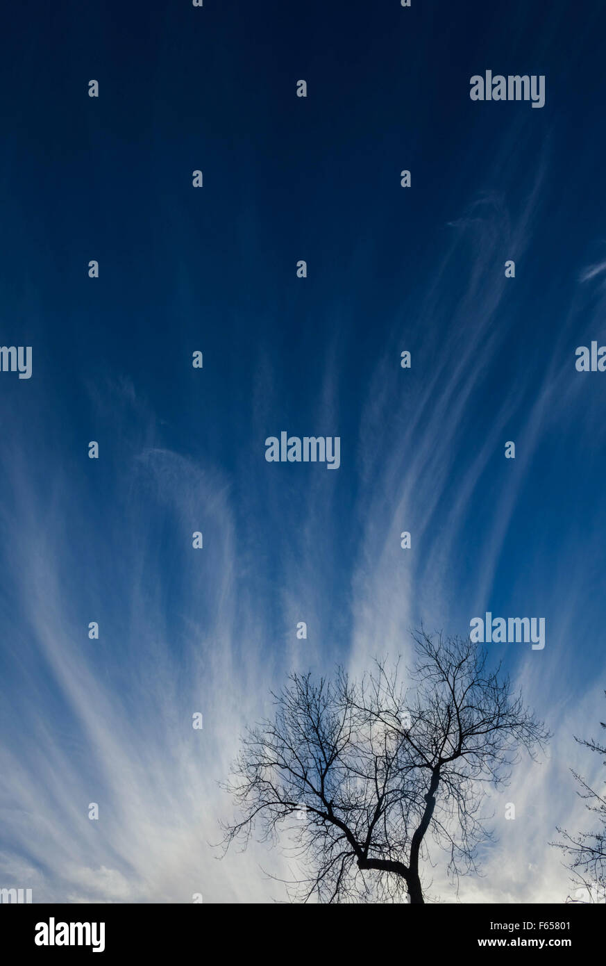 Cirrus cloud formation hi-res stock photography and images - Alamy