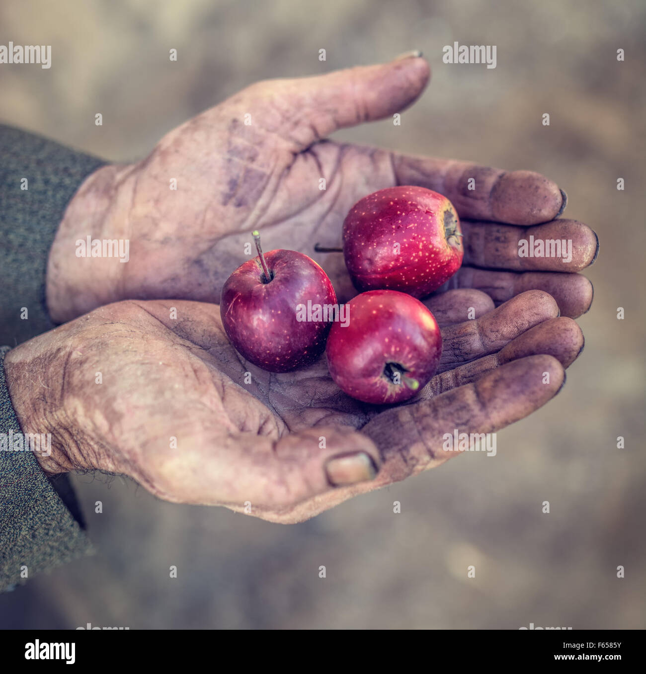 the old man hand holding apple Stock Photo - Alamy