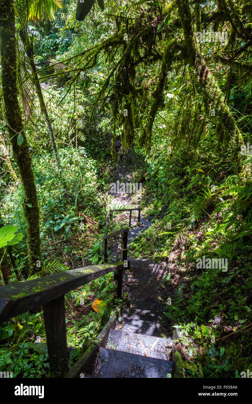 Darien panama jungle hi-res stock photography and images - Alamy