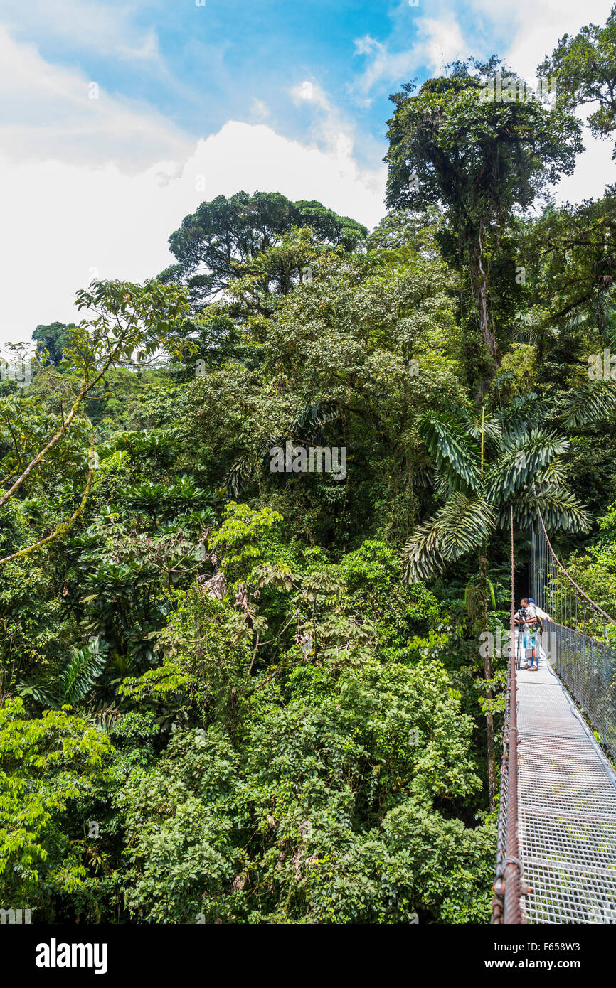 Jungle passage hi-res stock photography and images - Alamy