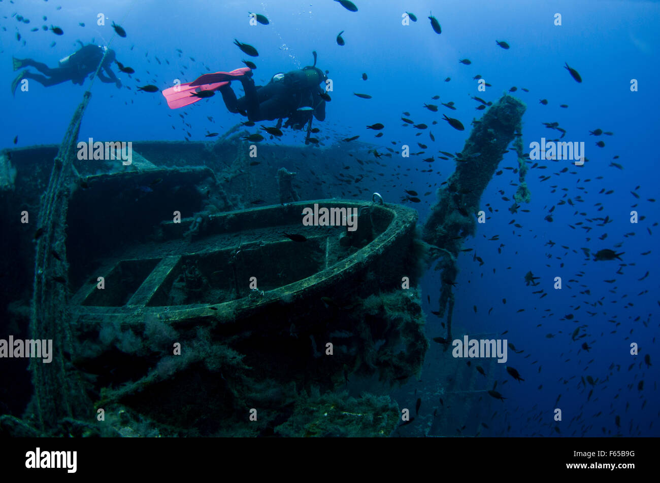 Diver at the MS Zenobia shipwreck. MS Zenobia was a Swedish built ...