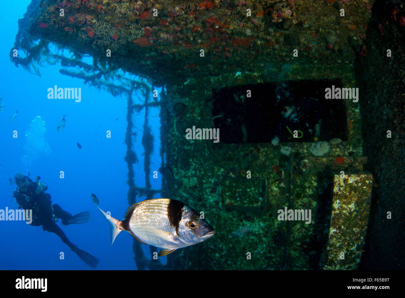 Zenobia shipwreck High Resolution Stock Photography and Images - Alamy