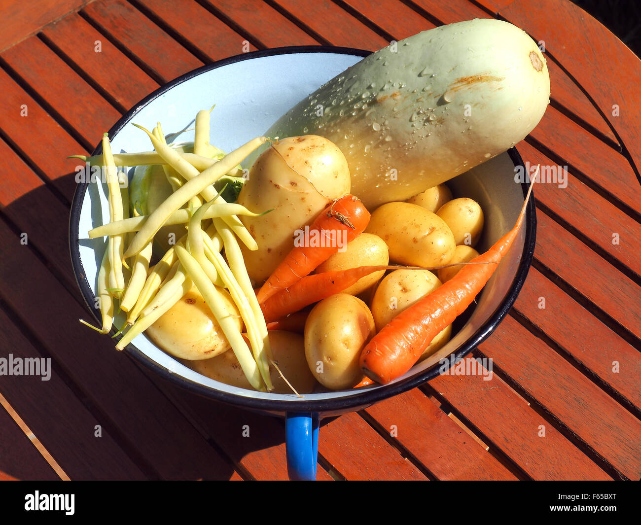 fresh picked vegetables in metal bucket Stock Photo - Alamy
