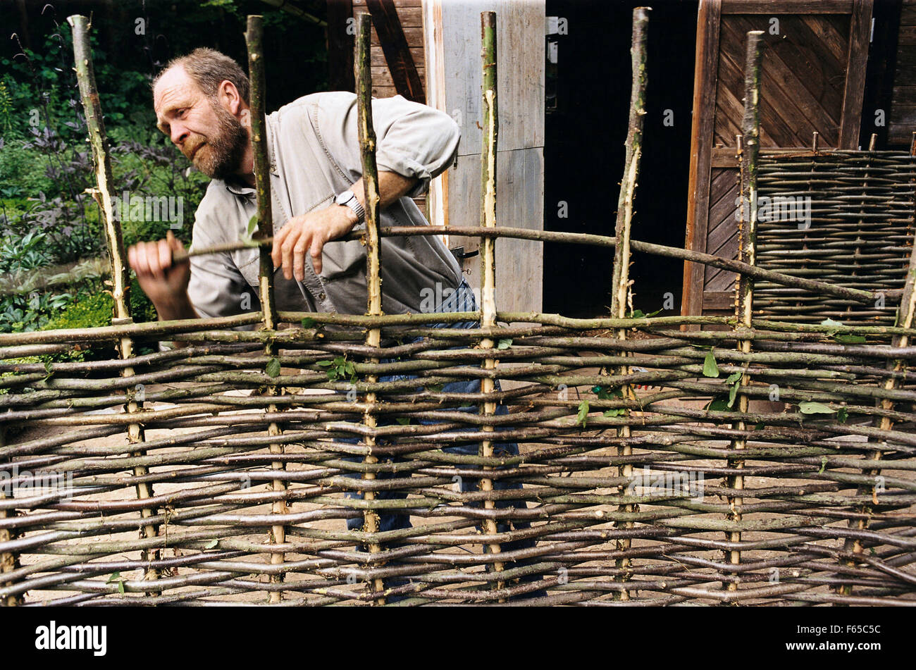 Man constructing partition with branches of hazelnut tree Stock Photo ...