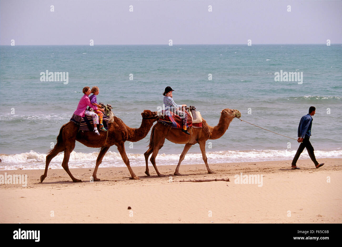Camel riding company hi-res stock photography and images - Alamy