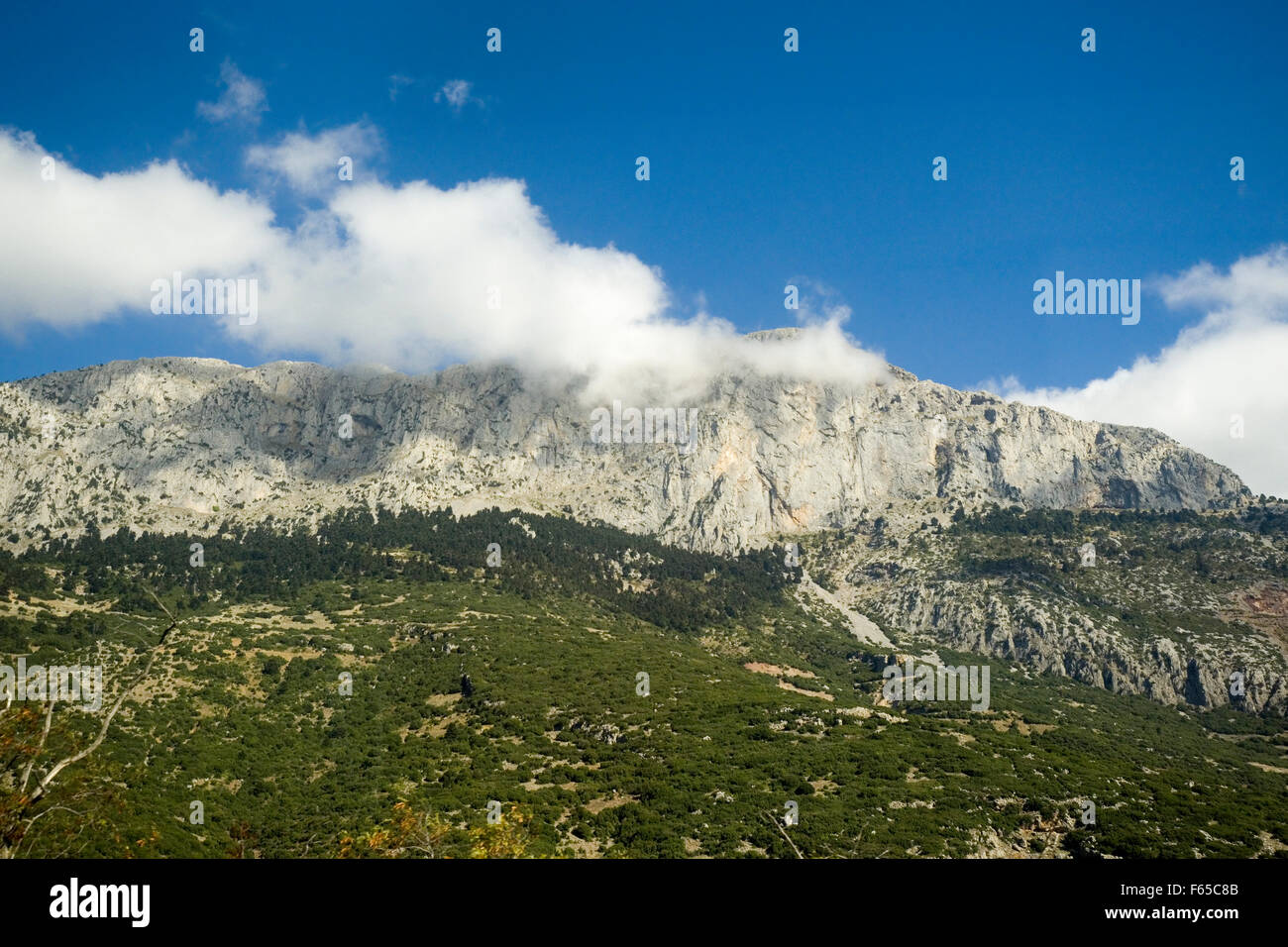 Greece, Delphi Landscape Stock Photo - Alamy