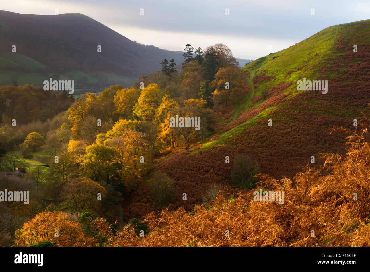 Moring Stock Photos & Moring Stock Images - Alamy