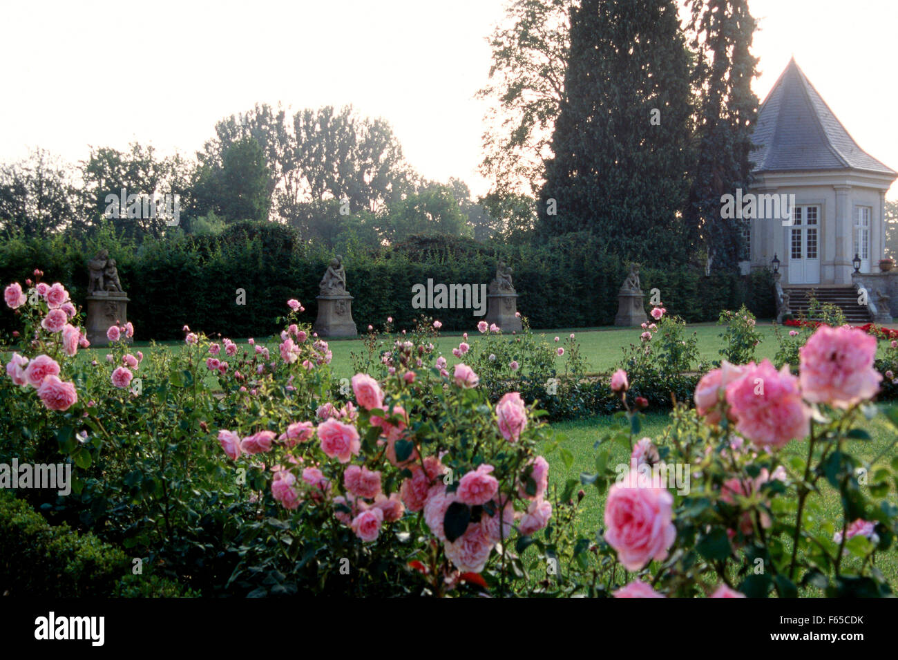 Pink rose garden in Schlosshotel Munchhausen, Germany Stock Photo - Alamy