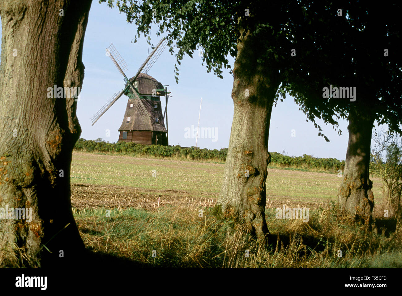 View of an old windmill through trees in the countryside Stock Photo ...